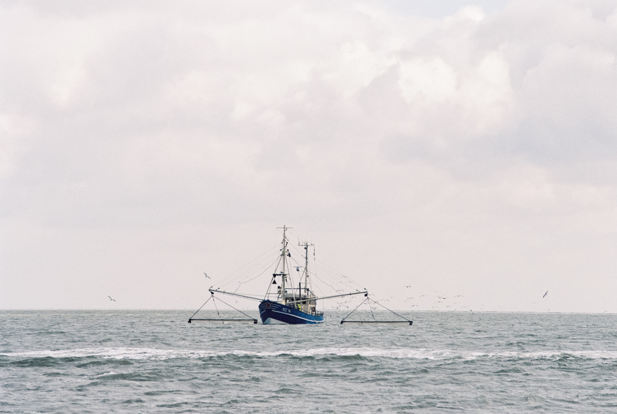 Fotografie auf Film: Seehundbänke vor Baltrum, Fischer in der Accumer ...