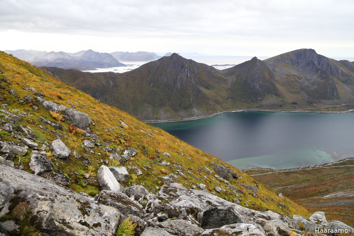 Hääräämö: Muistipeli maitopurkeista + Pohjois-Norja