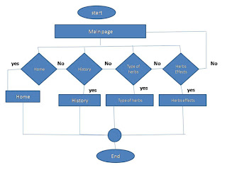 Herbal Medicine: Application's Flow