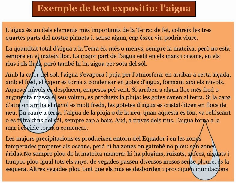 6é Llebeig: TEXT EXPOSITIU