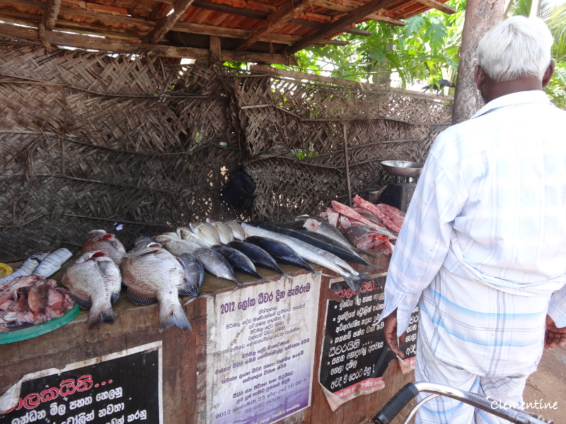 Le blog de Clementine: Circuit au Sri Lanka Novembre 2012 - Déjeuner ...