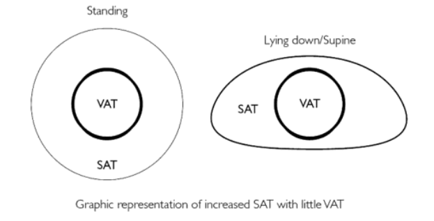 My Low Carb Road to Better Health: VAT (Visceral Adipose Tissue vs. SAT ...
