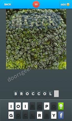 Zoomed In - Photo Word Game Level 35 ~ Doors Geek