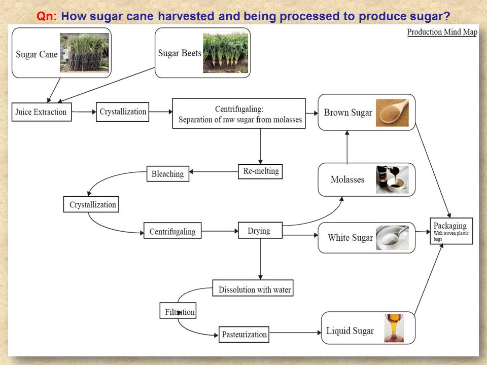 NYUMBA: AGRICULTURE - SUGAR CANE PRODUCTION (LESSON NOTES FOR FORM TWO)