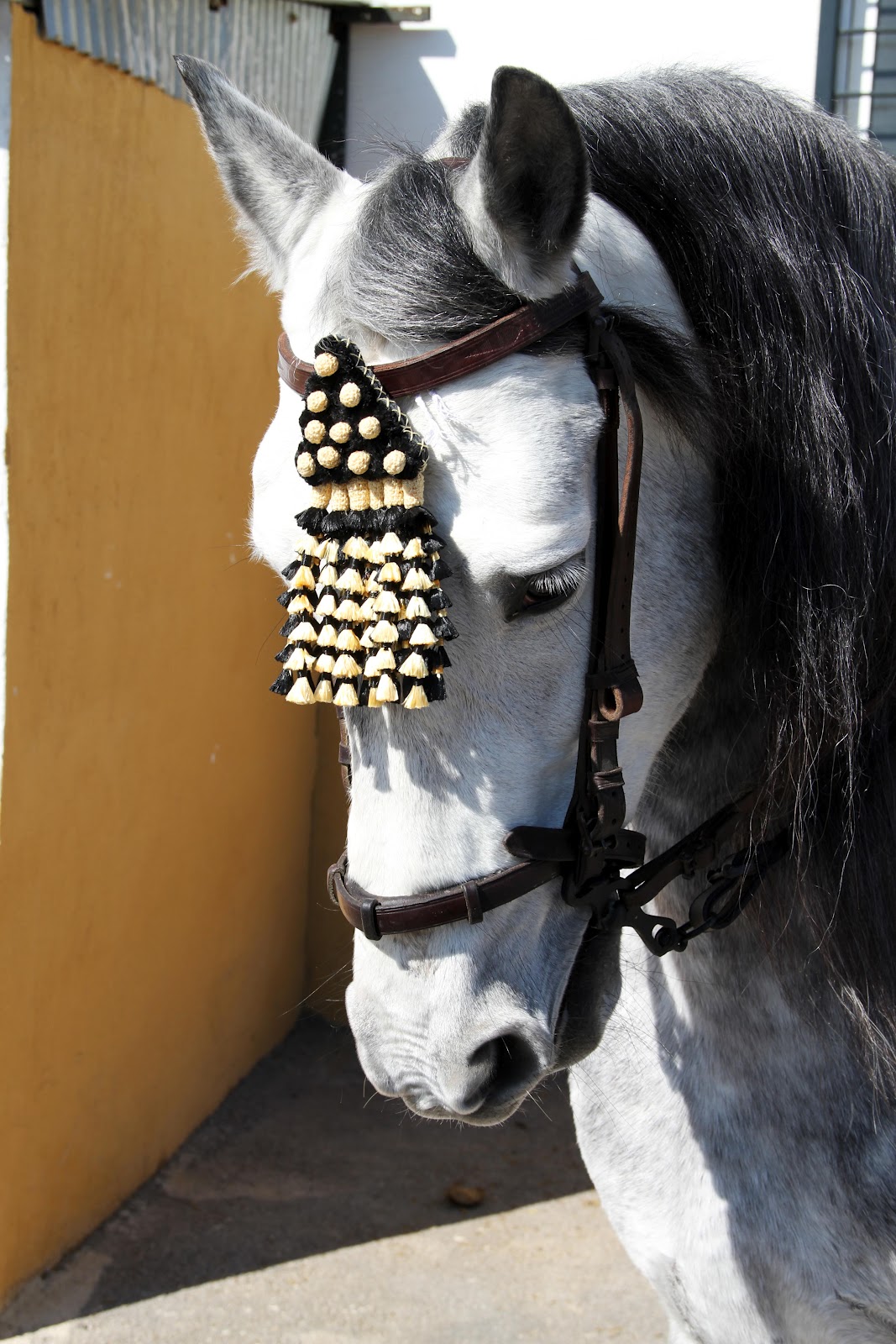 Mosqueros Nazaríes: Nuestros Mosqueros