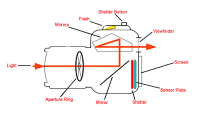 Newell ITC Media (2015-2016): Digital Photography - Intro to DSLR ...