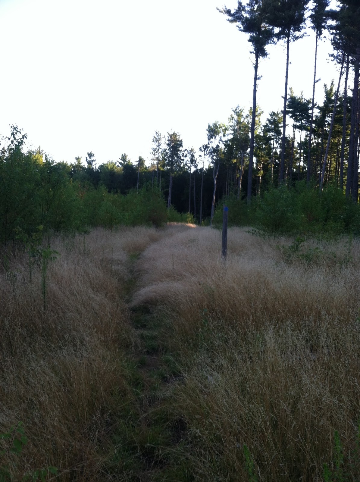 Early Morning Trails: Monoosnoc Trail End to End to End/Traverse ...