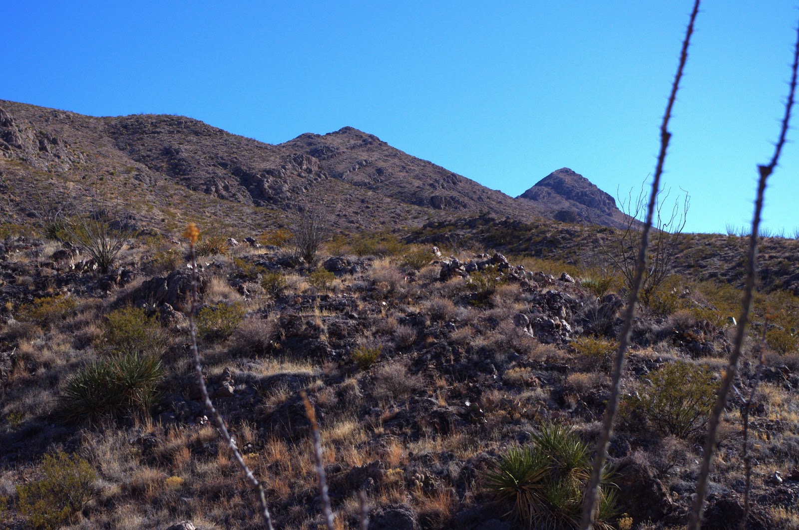 Southern New Mexico Explorer: Turtle Mountain- Caballo Mountains
