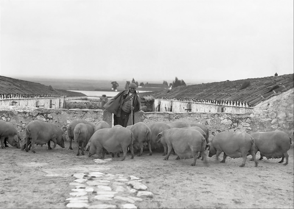 LA MIRADA FOTOGRÁFICA: Ruth Matilda Anderson