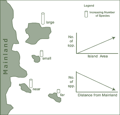 La Biothèque: Biodiversity on Islands (II): Island Biogeography