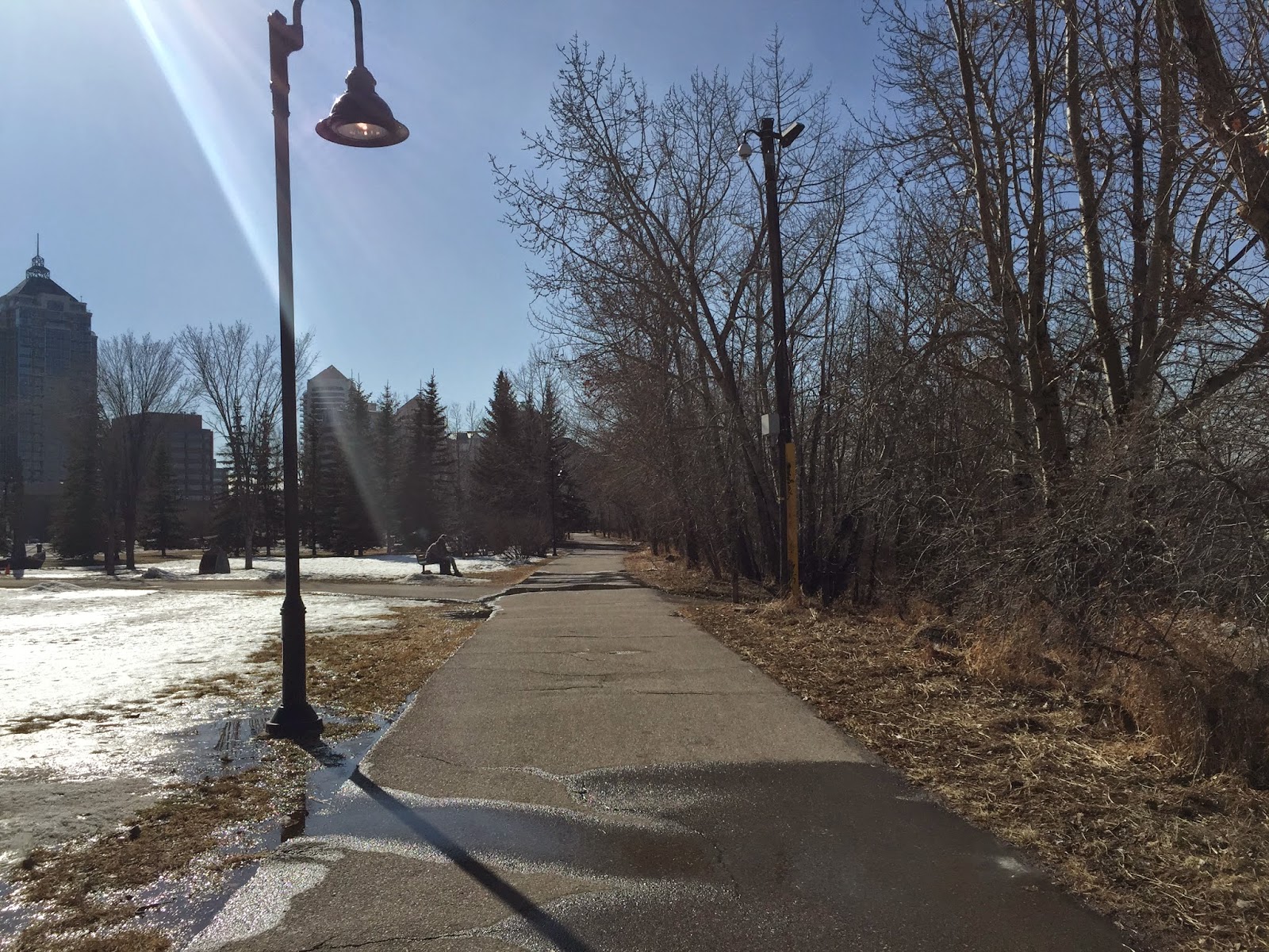 playing plain green.