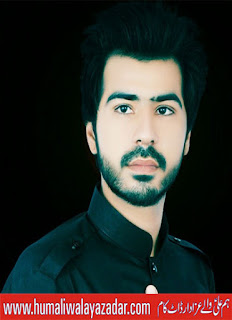 Saqlain Haider Nohay 2017 to 2020