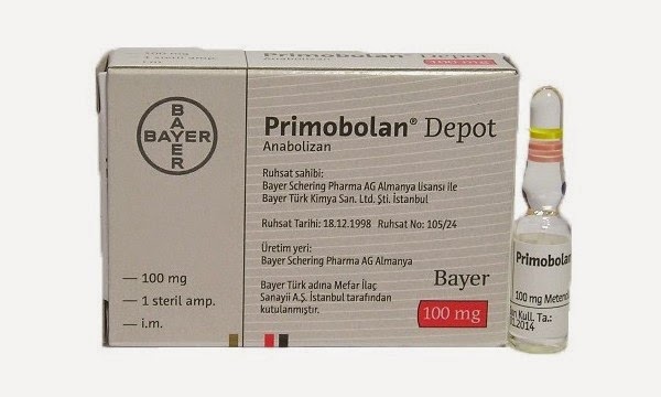 My Body Building Guide