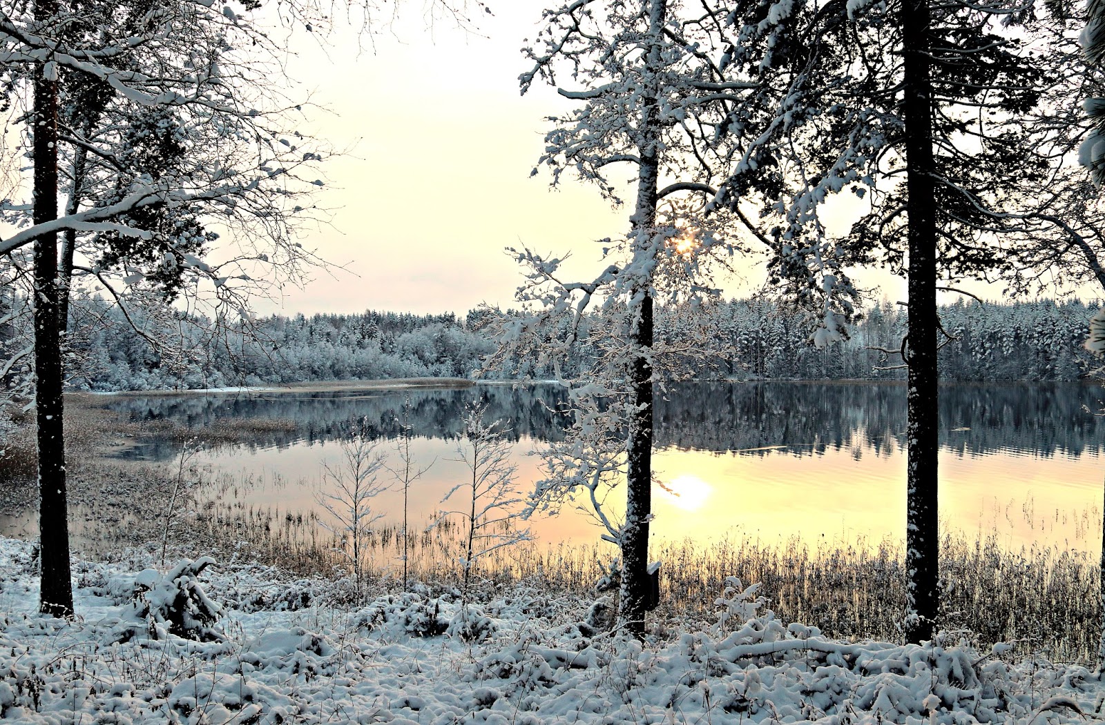 Fotoristi: Talven tuntu