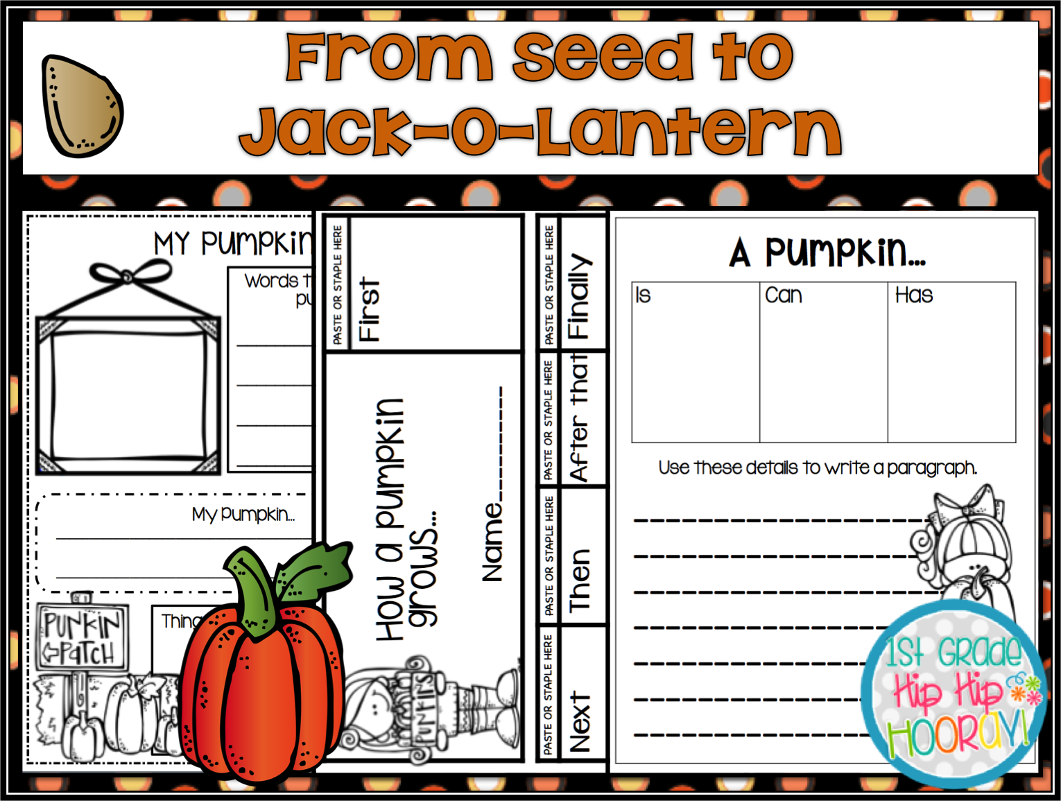 1st Grade Hip Hip Hooray!: From Seed to Jack-O-Lantern