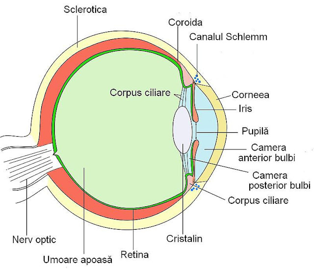 Mihail Ispan: PĂMÂNTUL PLAT, IMOBIL ȘI INFINIT: Perspectiva