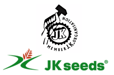 Best Stock Picks from Dolly Khanna: JK Agri Genetics Ltd - Repeat