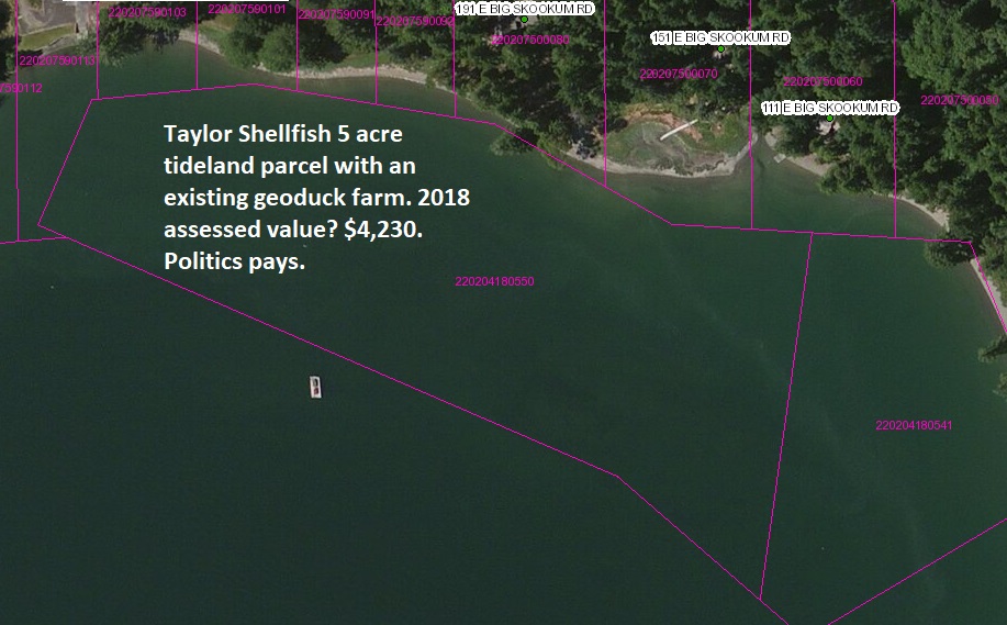 Protect Our Shoreline News: It's Just Beginning: Mason County Tideland ...