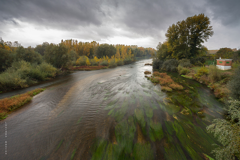 Instantes de luz: Otoño en el río Esla