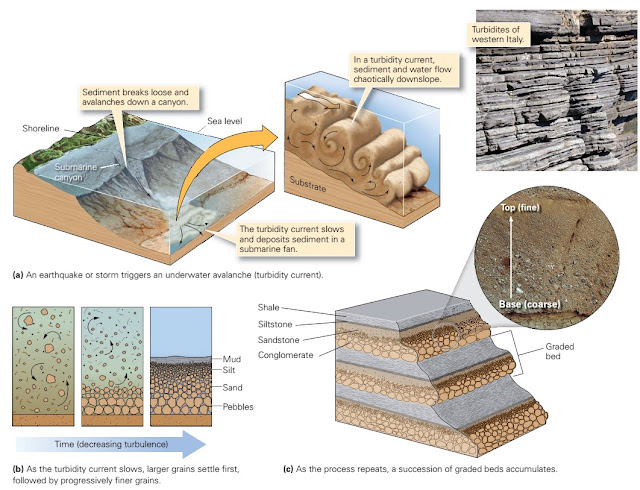 Learning Geology: Sedimentary structures