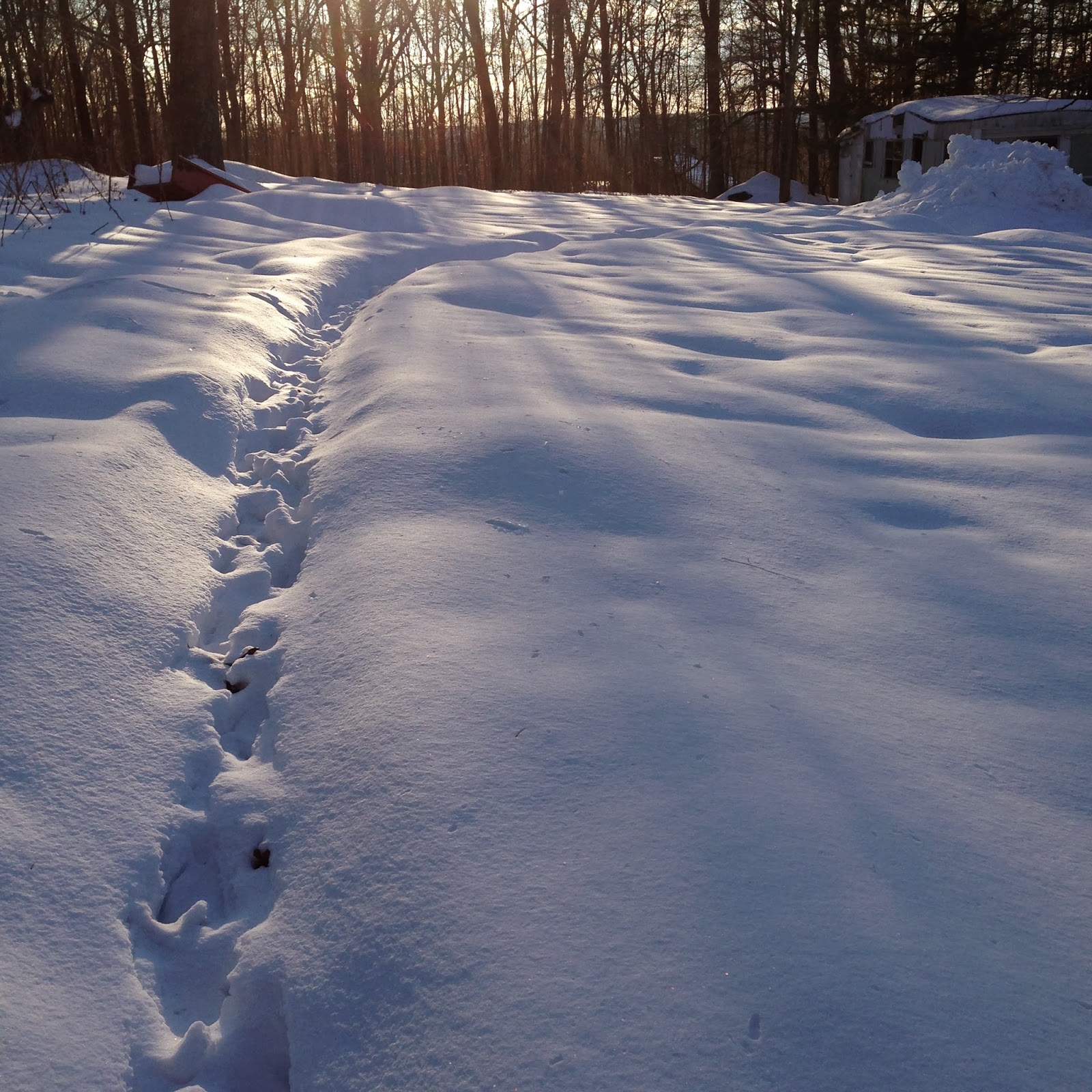 A Life Inspired by Nature: Abstract snow