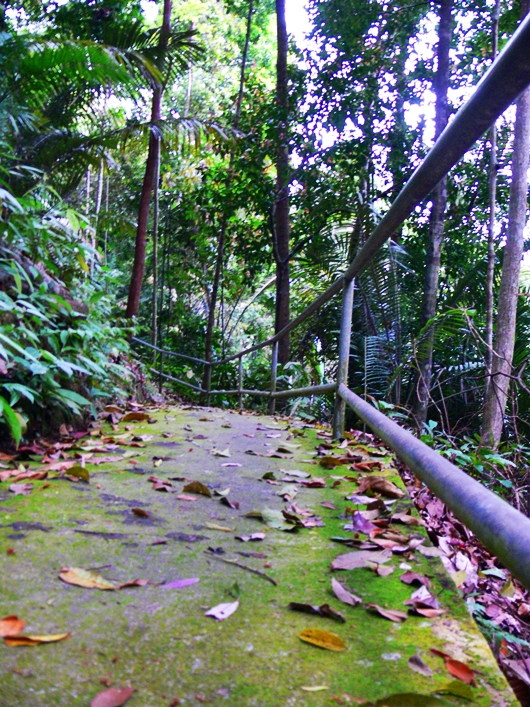 Foto Memori Ku: Istimewanya Hutan Lipur Soga Perdana , Batu Pahat