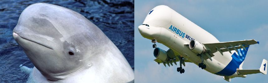 Global LEAD Consultancy (Logistics Excellence Academics & Development ...