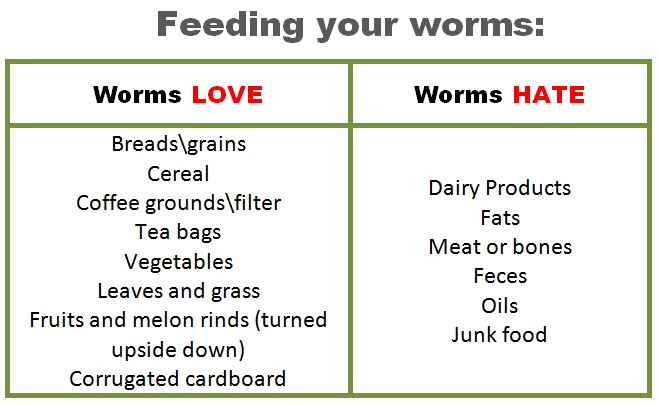 Cranky Puppy Farm: How To: Make A Worm Hotel