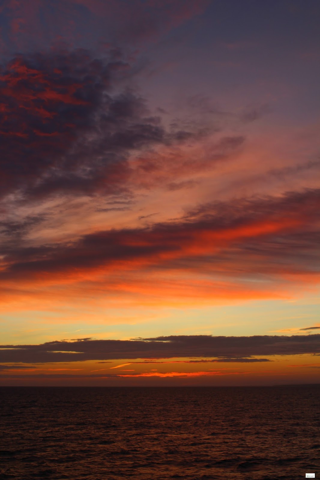 Sunrise CAT Ferry Ride from Prince Edward Island to Nova Scotia ...