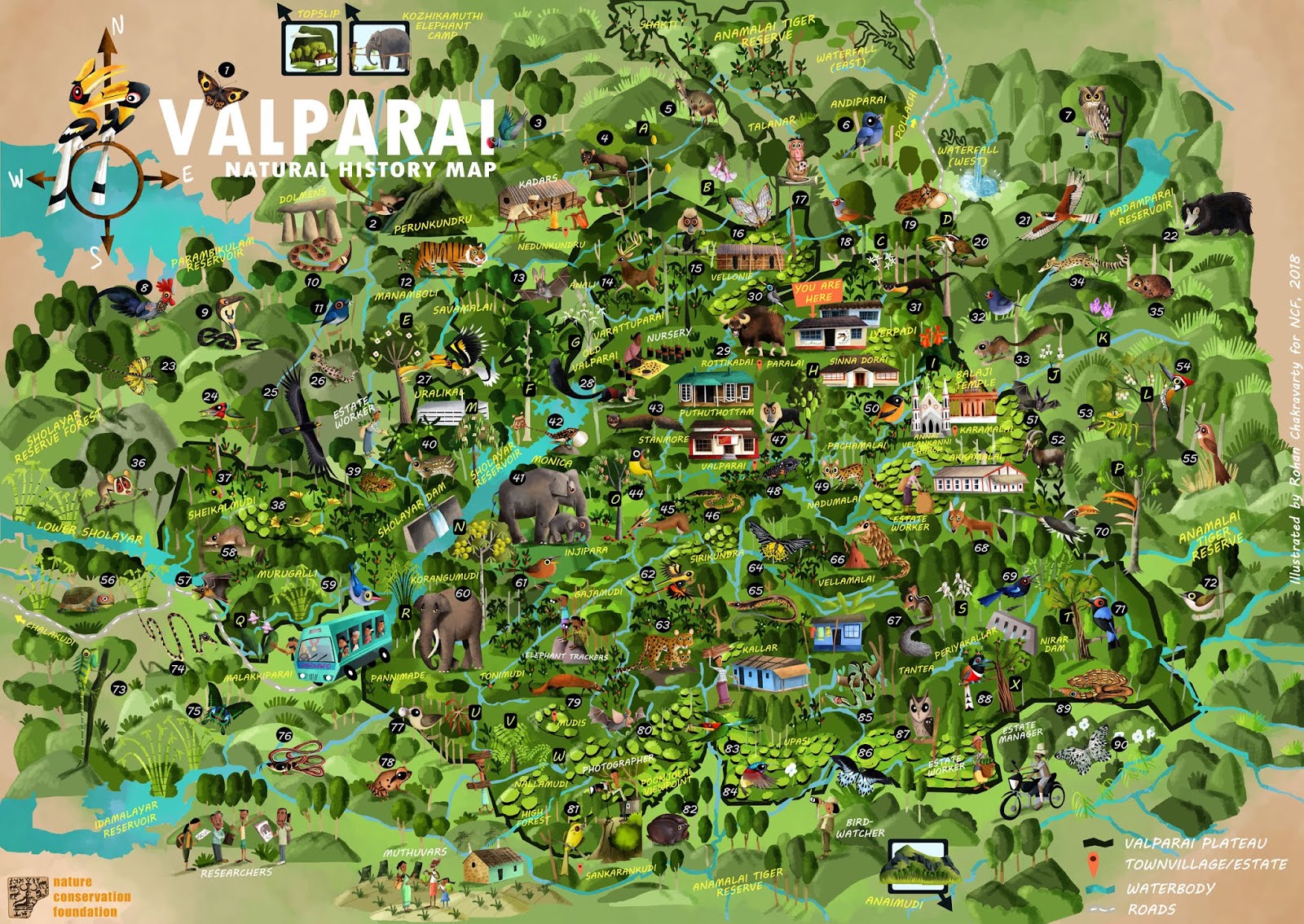 Green Humour: Valparai Natural History Map