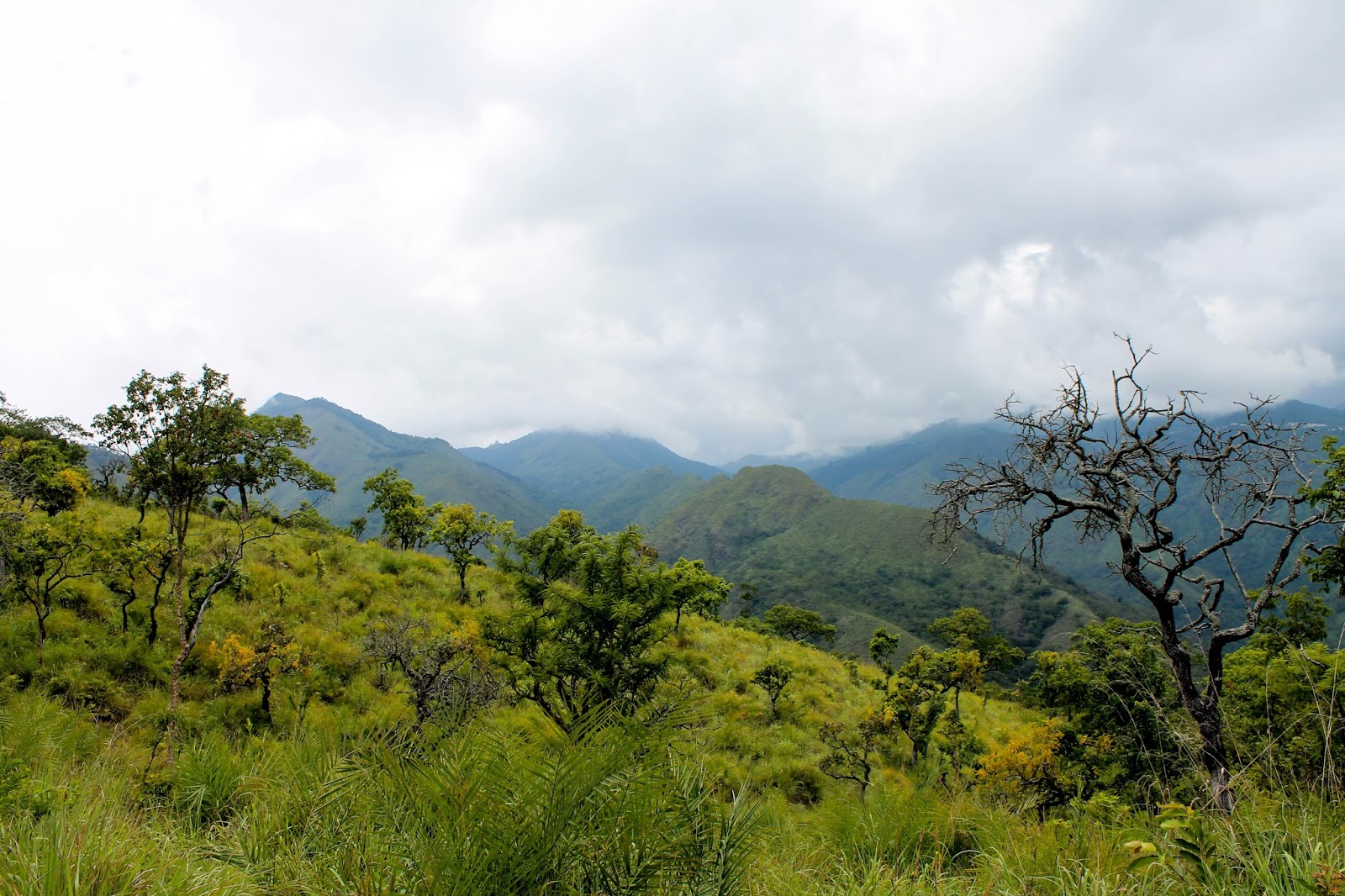 more to life...: Kinnakorai & Weir Dam Trek - August 10-11, 2013