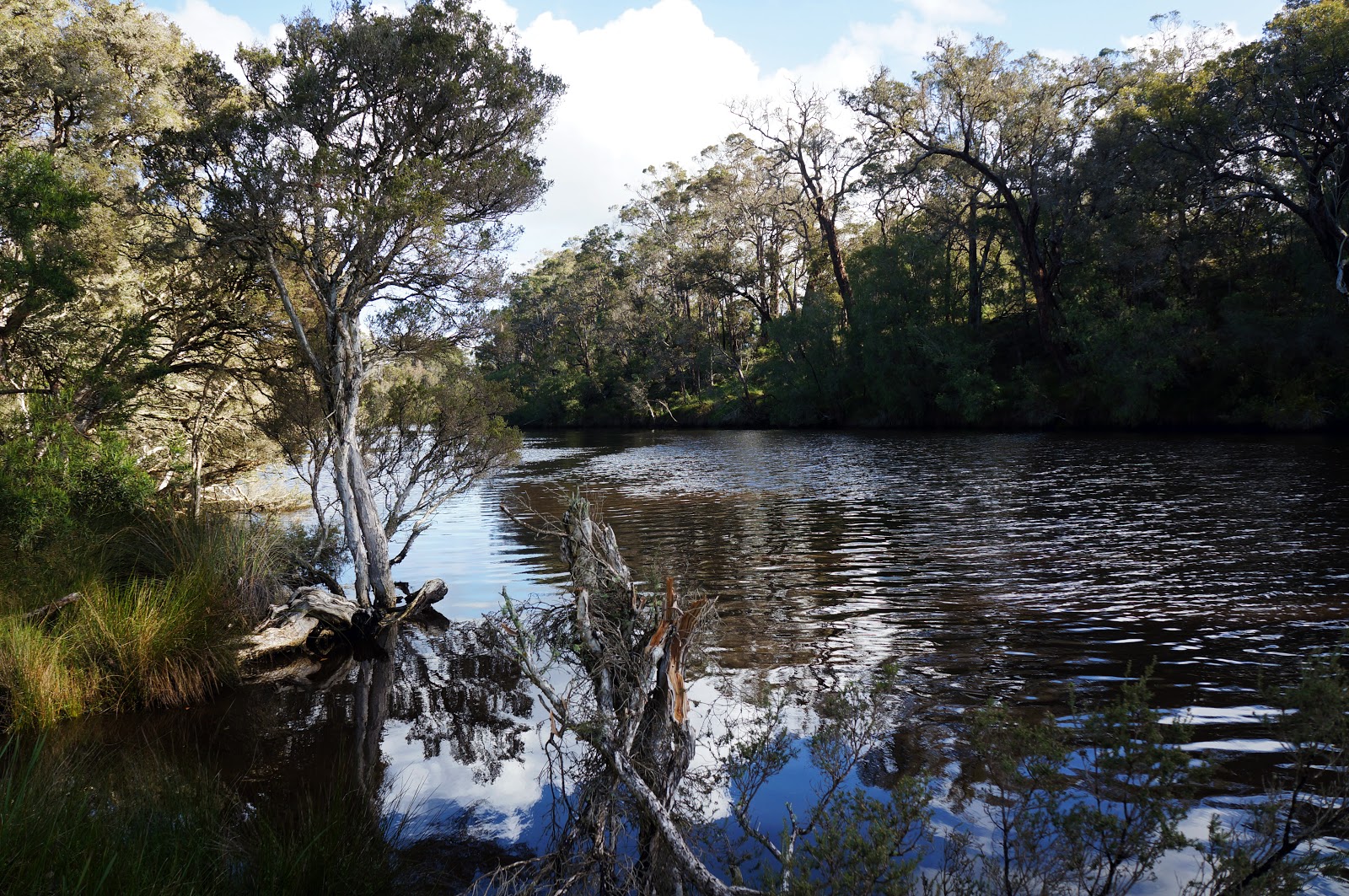 Luke Pen Walk (Kalgan River) ~ The Long Way's Better