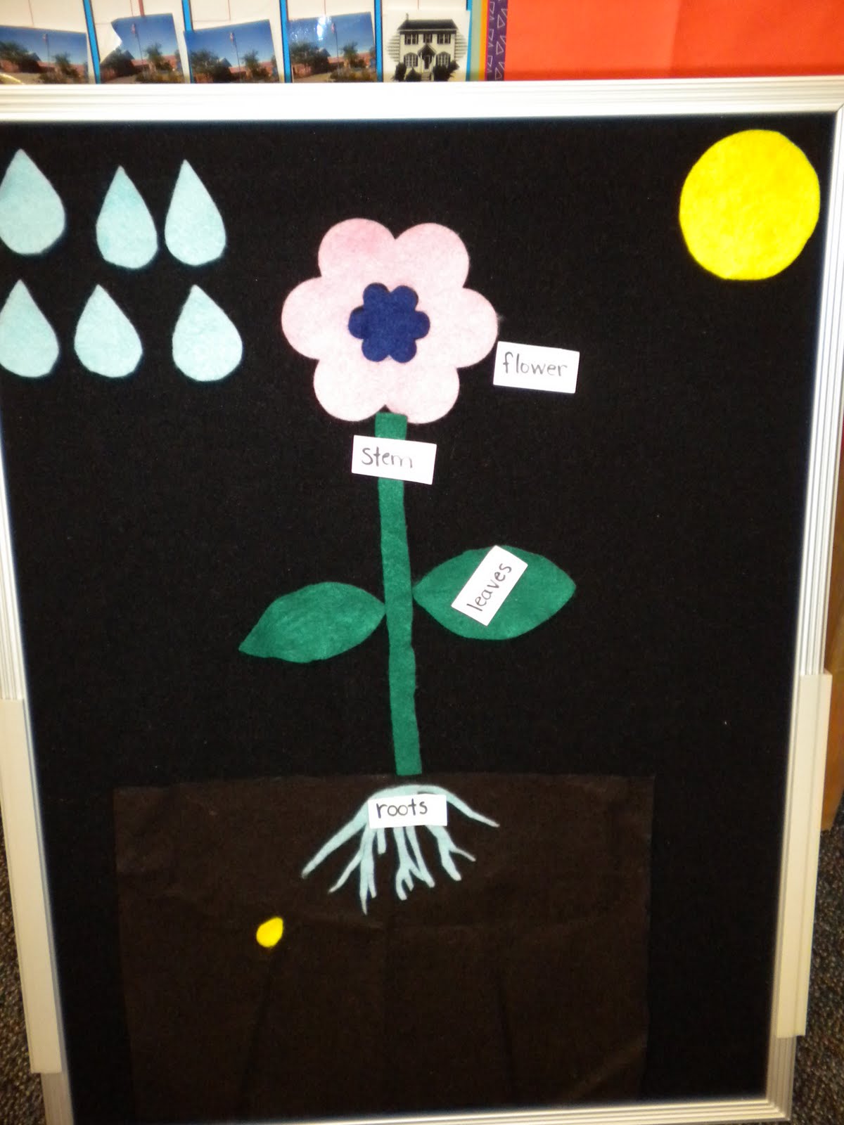 Cachey Mama's World of Learning: Plant Unit