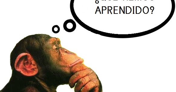 ¿Dónde están las mujeres artistas?: Practicando