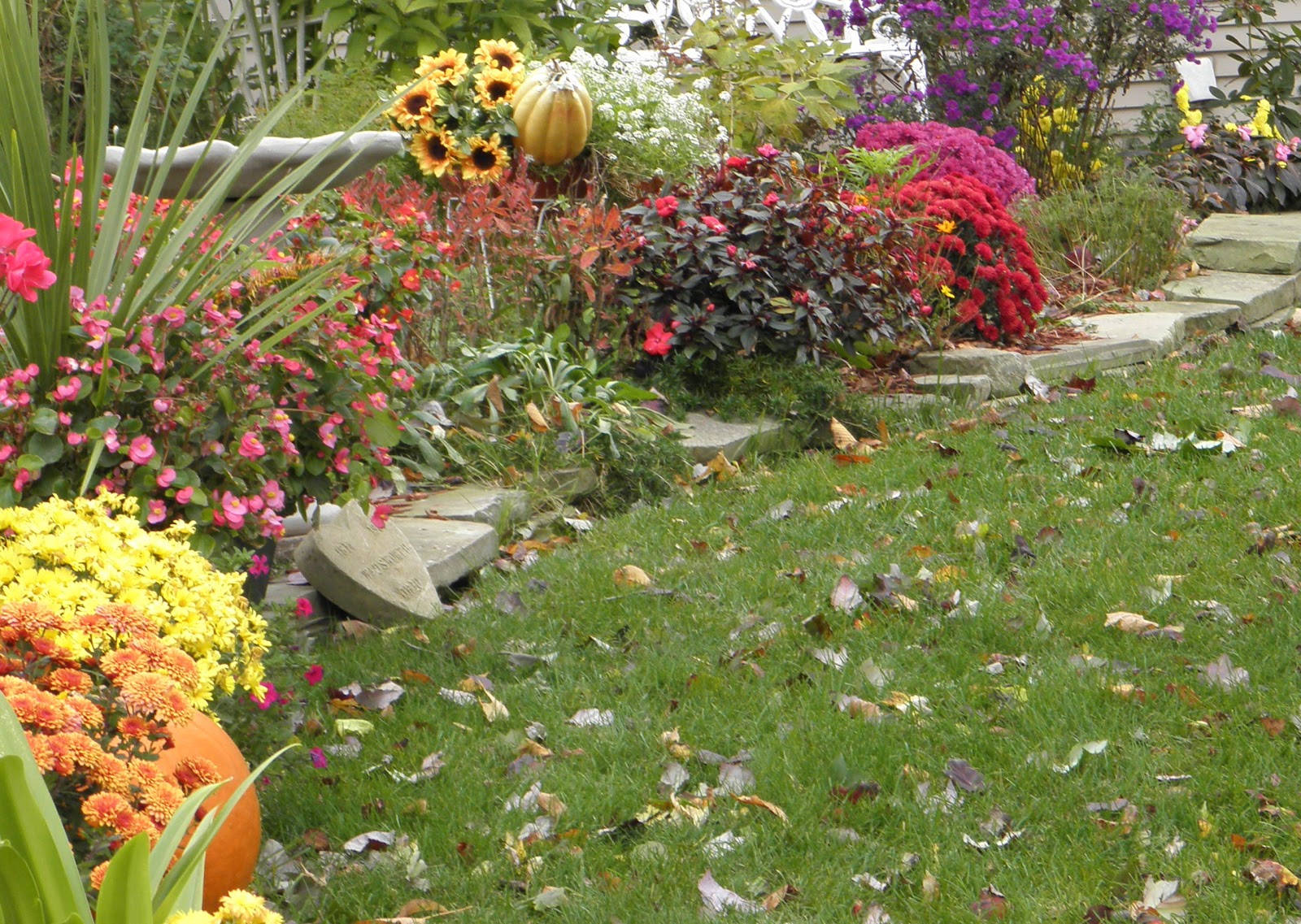 Yard And Garden October 19th 2012 yard-and-garden-october-19th-2012
