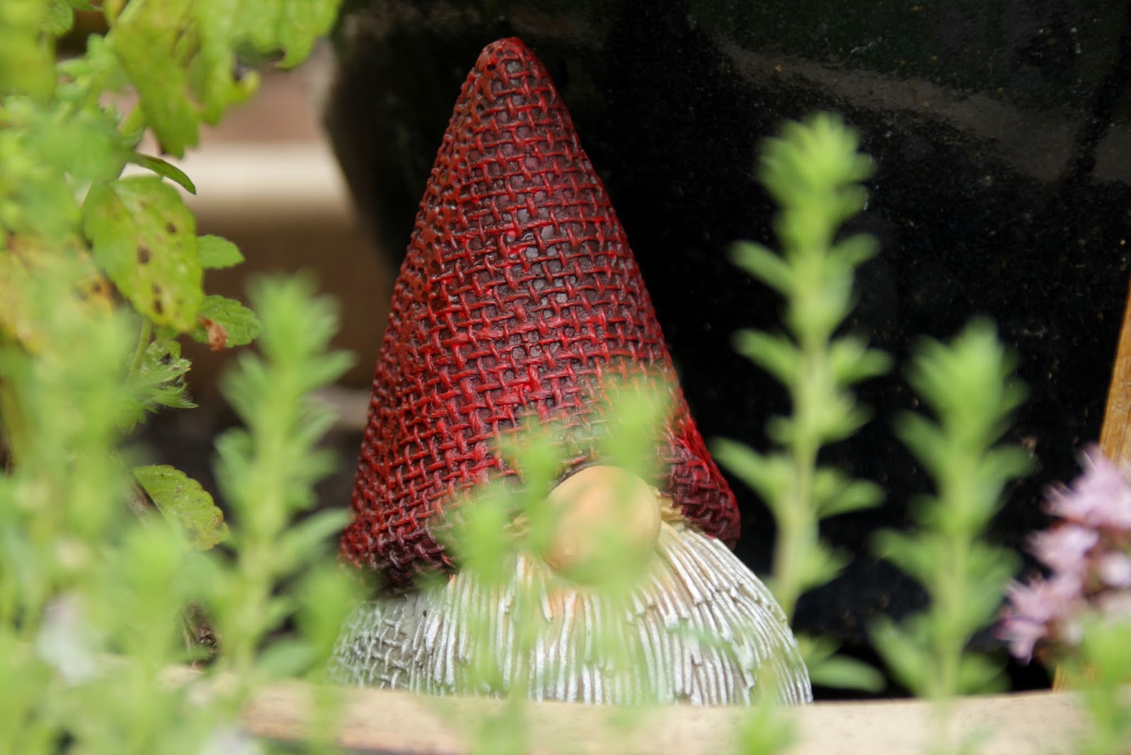 Hof van Jaantje: De week van de tuinkabouter