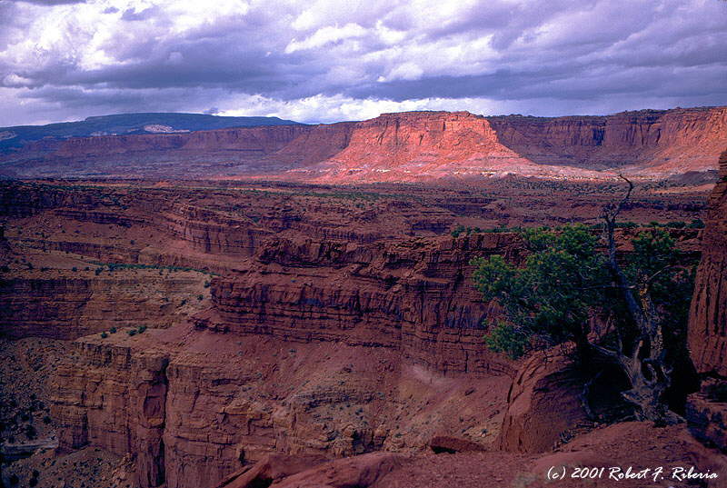 Utah Red Rocks