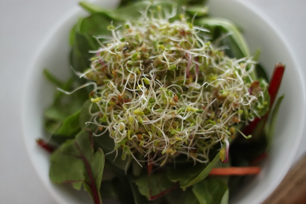 The Really Crunchy Mom: Sprouts