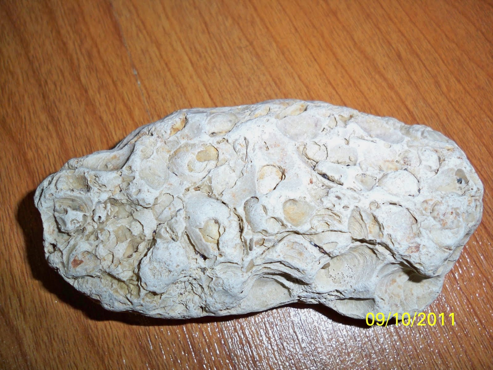 Fosile,Minerale,Roci: Colectia mea-Roci