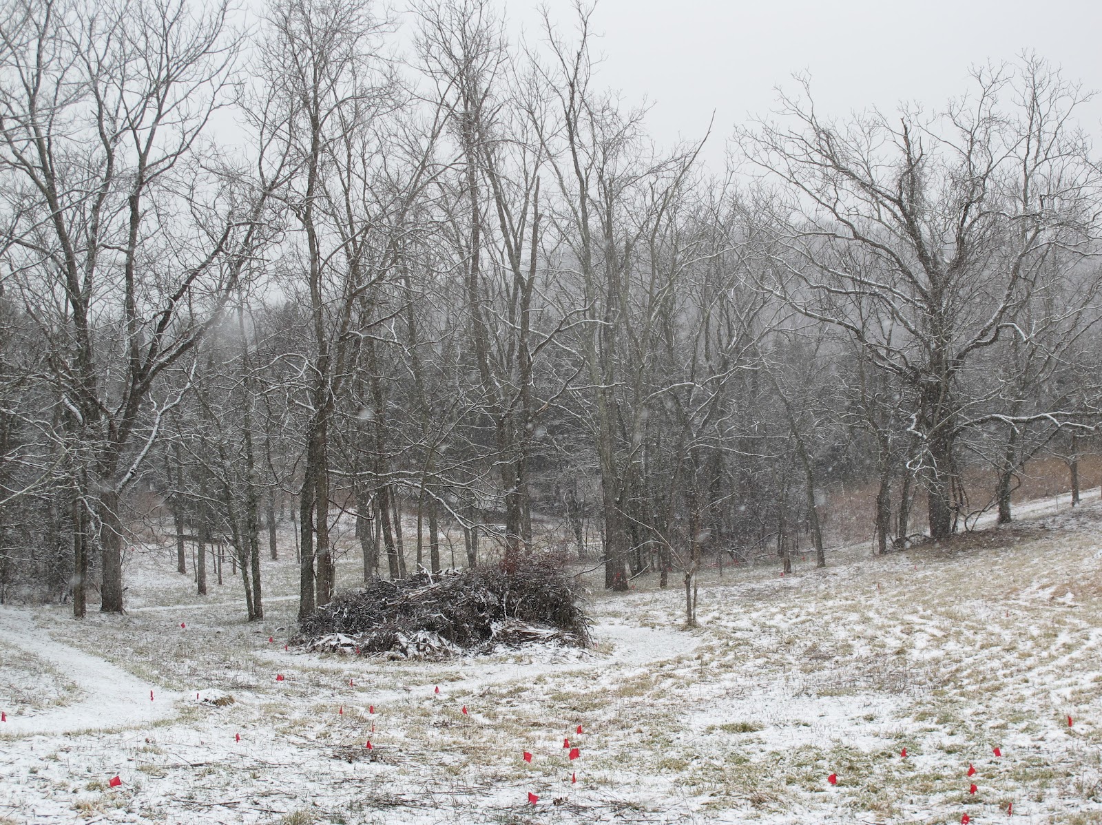 Blue Jay Barrens: The Third Inch - A Snow Day