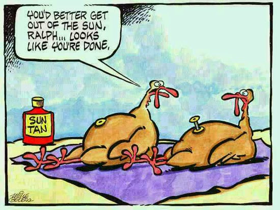 Funny Turkey Pictures: Funny Turkey Pictures Part 3