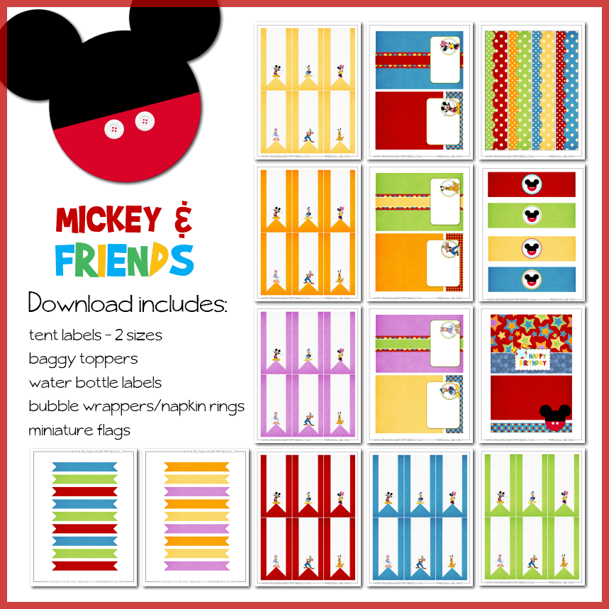 The Bingham Diaries: Mickey & Friends Label Set