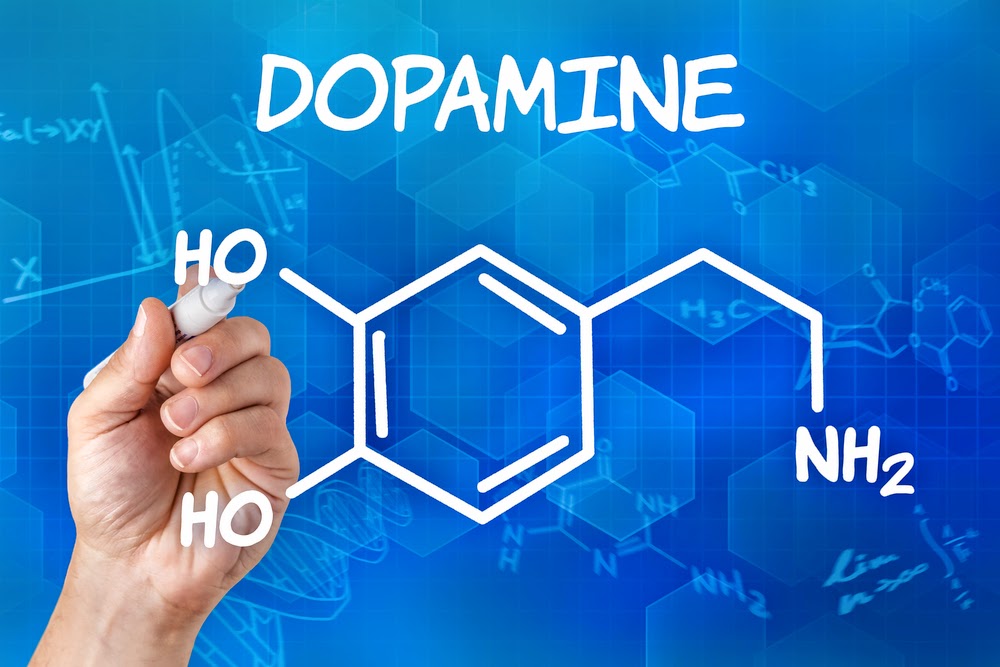 Psych News Alert: Parkinson's Study Shows How Dopamine Replacement ...