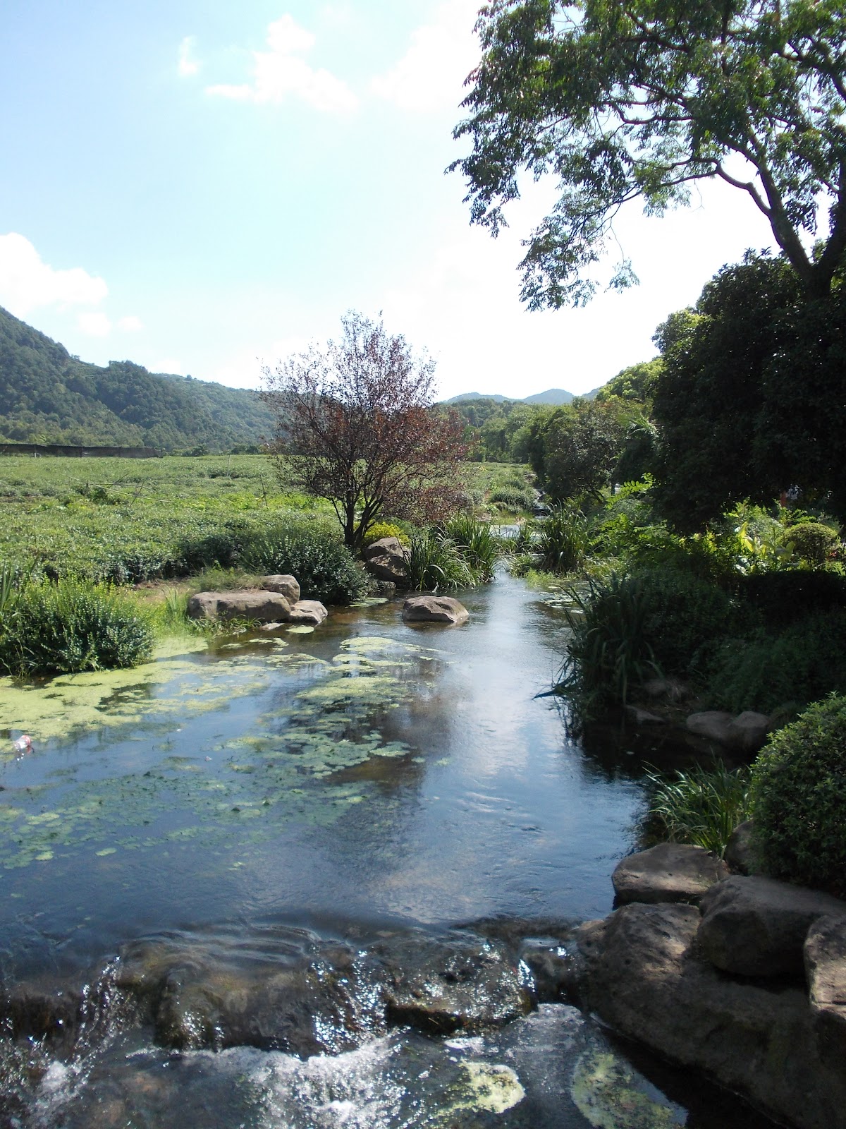 Tunnen rahu, olles rahuldamatu...: Hiina tee muuseum, päev 485