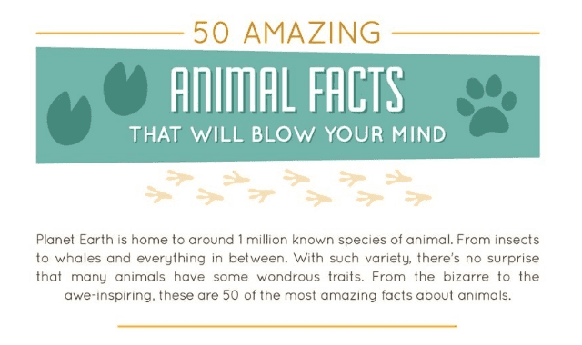 50 Amazing Animal Facts That Will Blow Your Mind [Infographic ...
