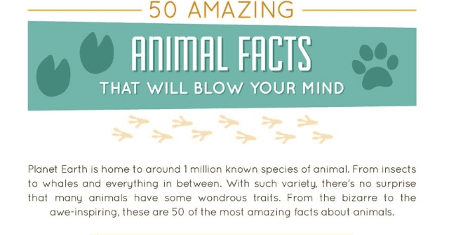 50 Amazing Animal Facts That Will Blow Your Mind [Infographic ...