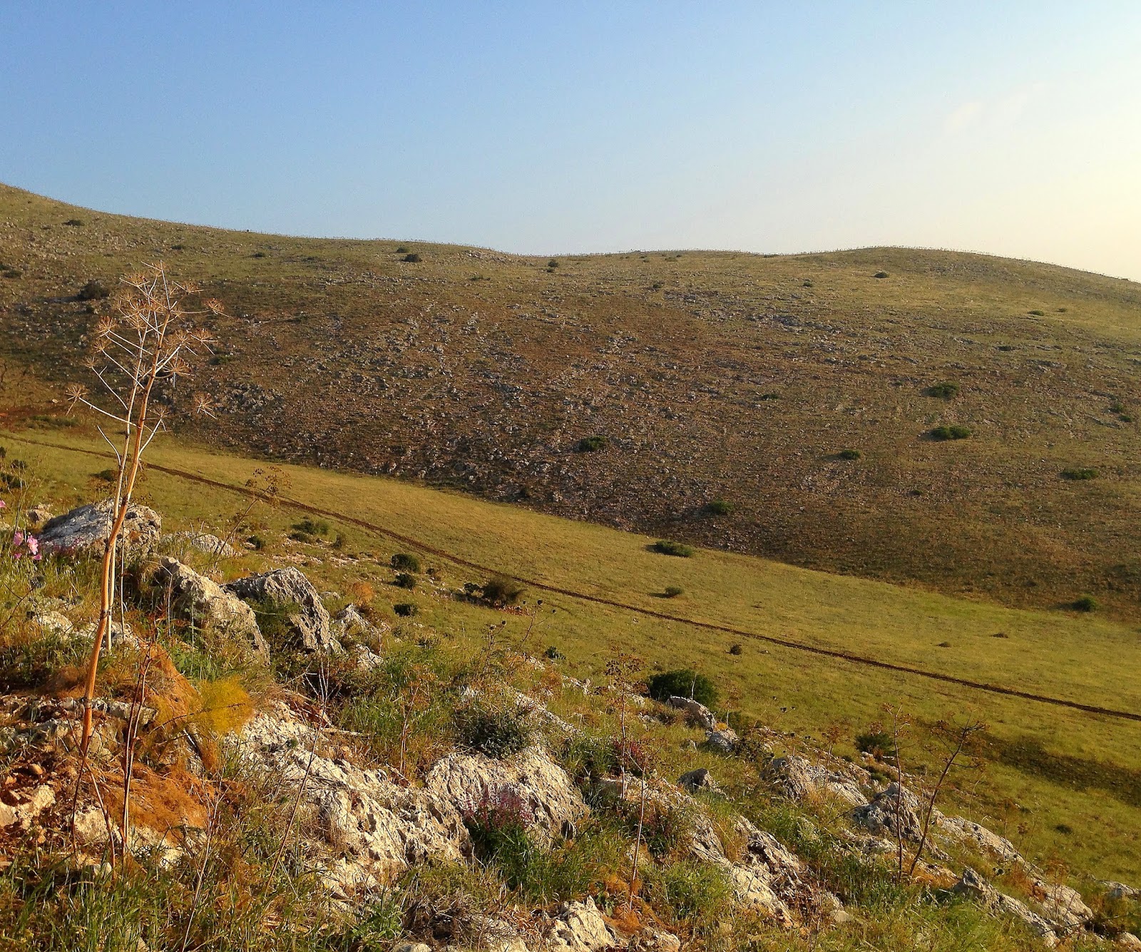 Birding Poole Harbour & Beyond: 13 April 14 - Mount Gilboa