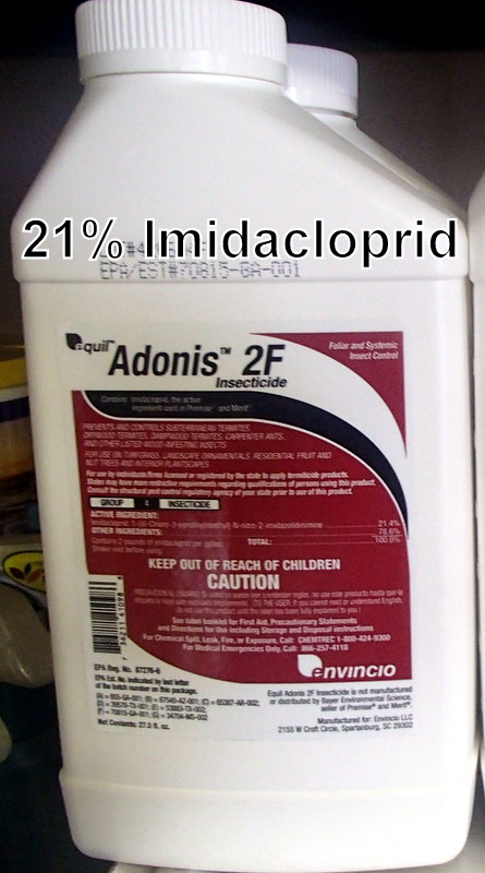 Xtremehorticulture of the Desert: Loss of Bark on Ornamental Plum Due ...