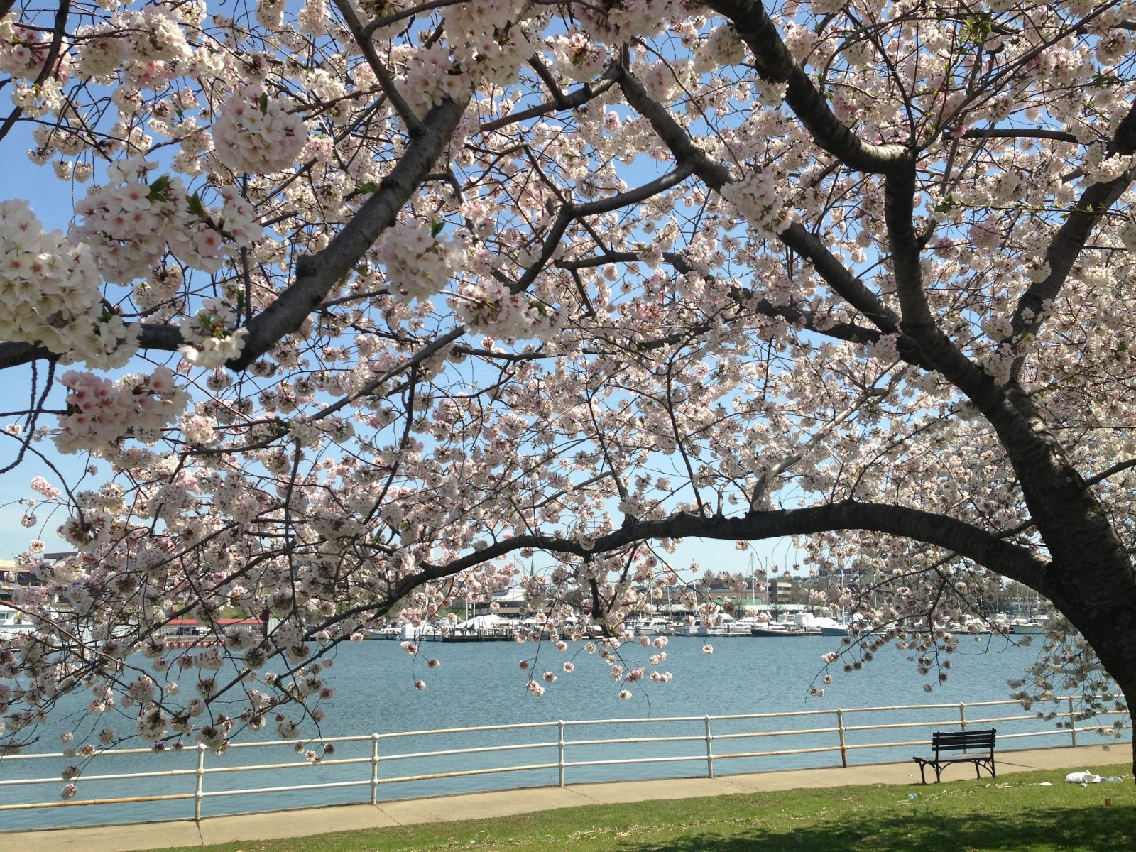 Eat, Run, Read: Best of the Week #100