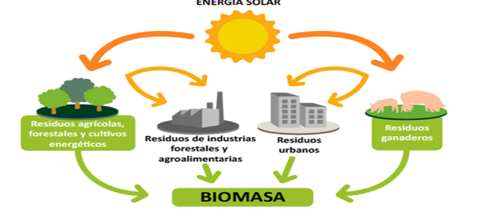 Energia Biomasa